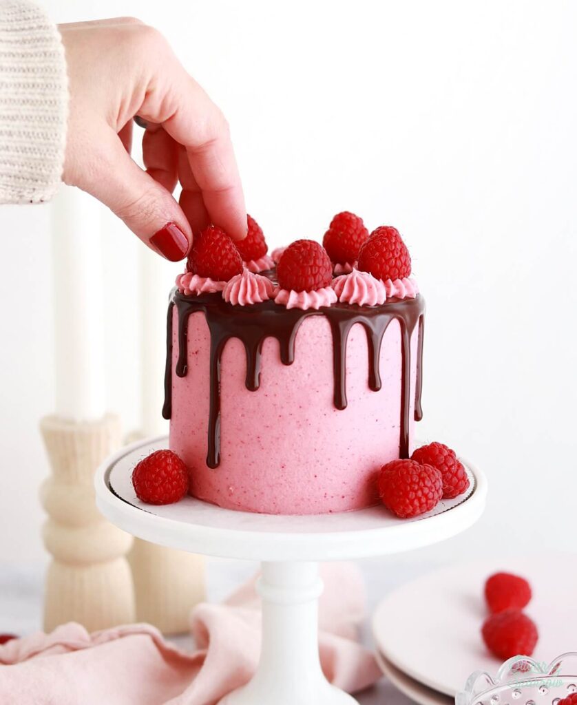 Small Batch Raspberry Chocolate Cake - Sugar & Sparrow